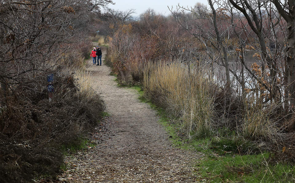 Final day to walk onto Richland's Bateman Island is Dec. 21 | Tri-City ...