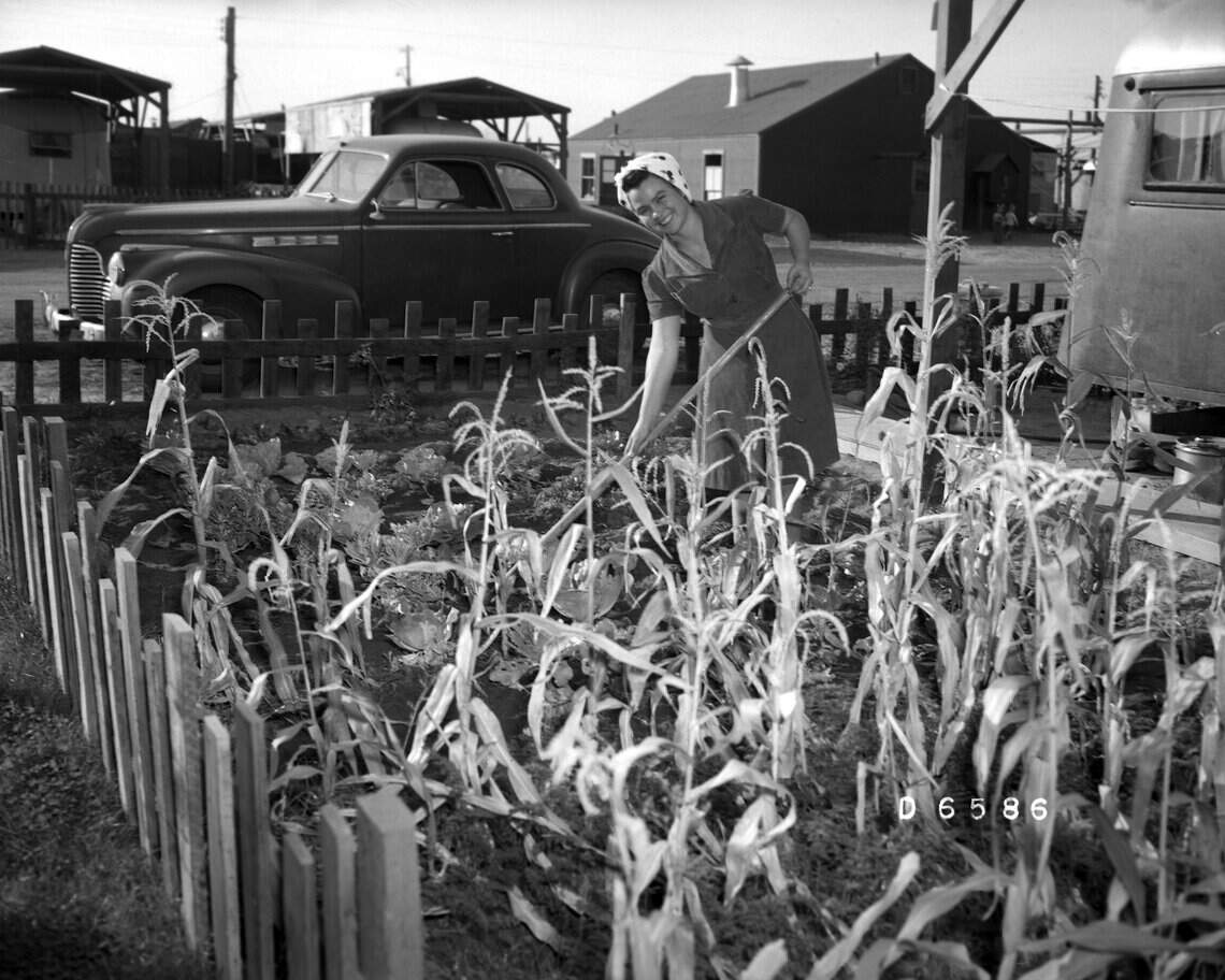 Richland program set on WWII recordings by Hanford engineer | Tri-City ...
