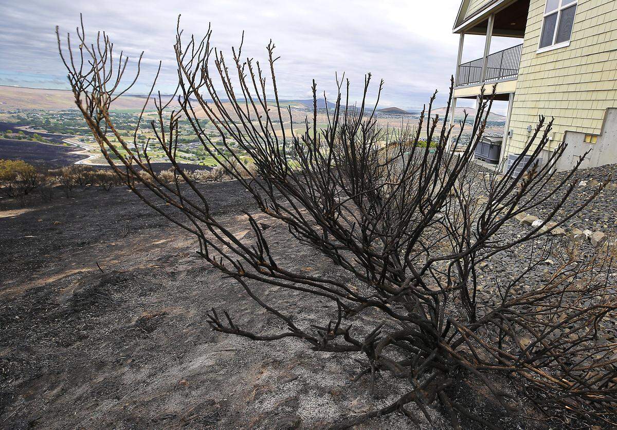 Tri-Cities wildfire monitored after weekend blaze | Tri-City Herald