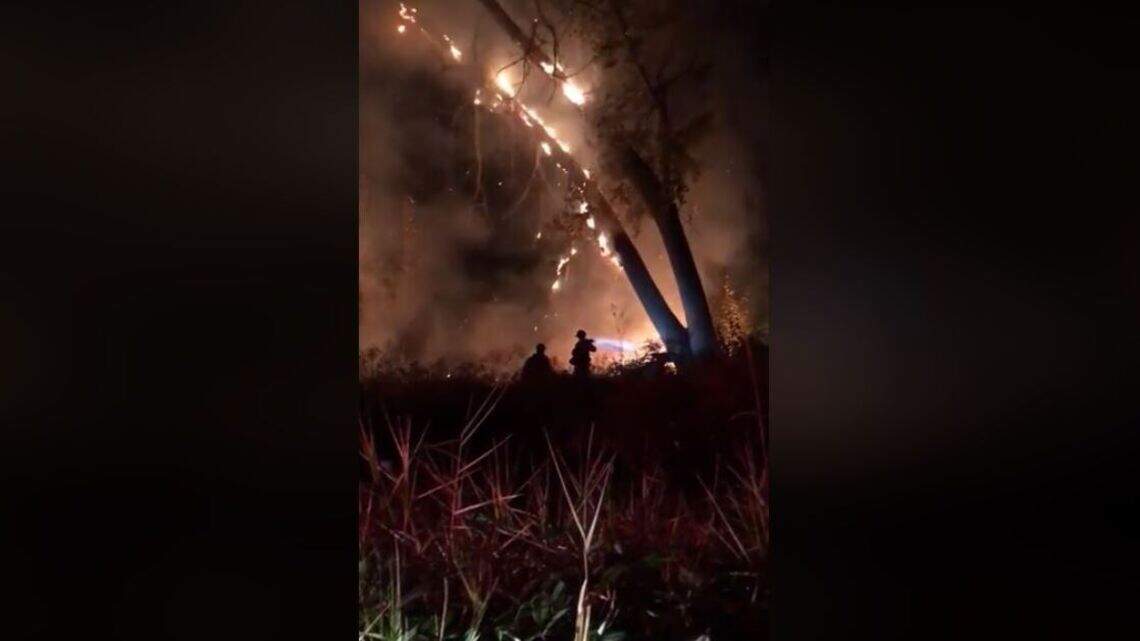 Fire scorches section of Zintel Canyon near 10th Ave. bridge | Tri-City ...