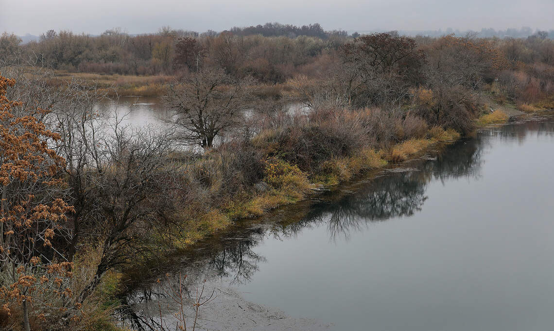 Final day to walk onto Richland's Bateman Island is Dec. 21 | Tri-City ...