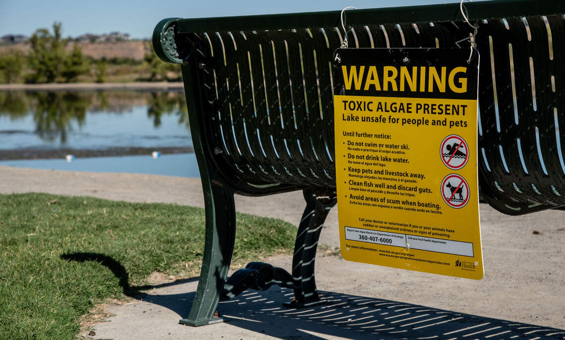 Columbia River shore closed due safety threat from toxic algae | Tri ...
