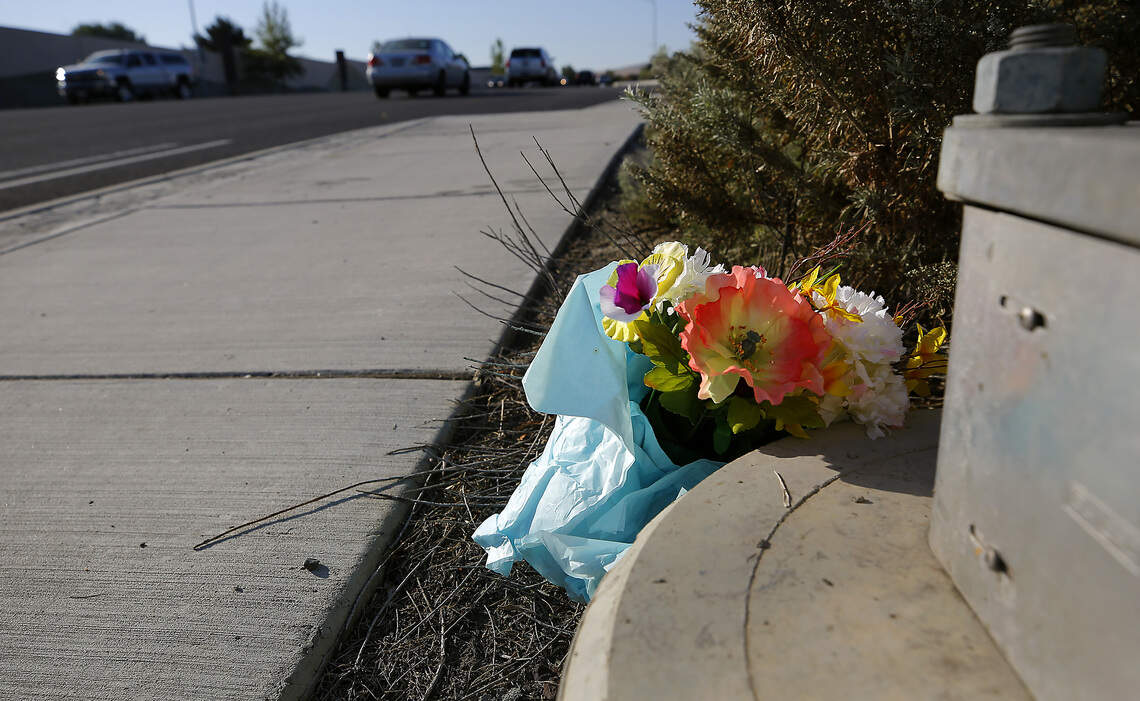 Friends, family mourn scientist after Richland crash | Tri-City Herald