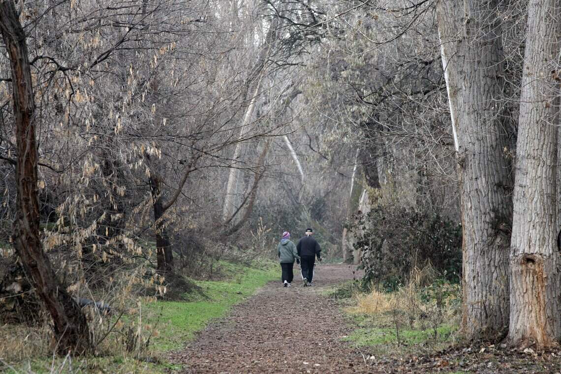 Burn off Thanksgiving dinner with these urban hikes | Tri-City Herald