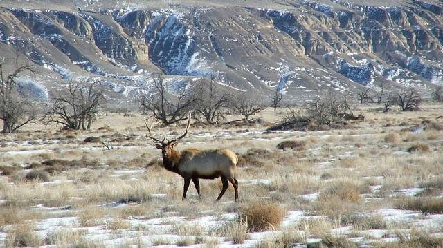 Washington State Dept. of Ecology: Happy birthday, TPA: The Tri-Party ...